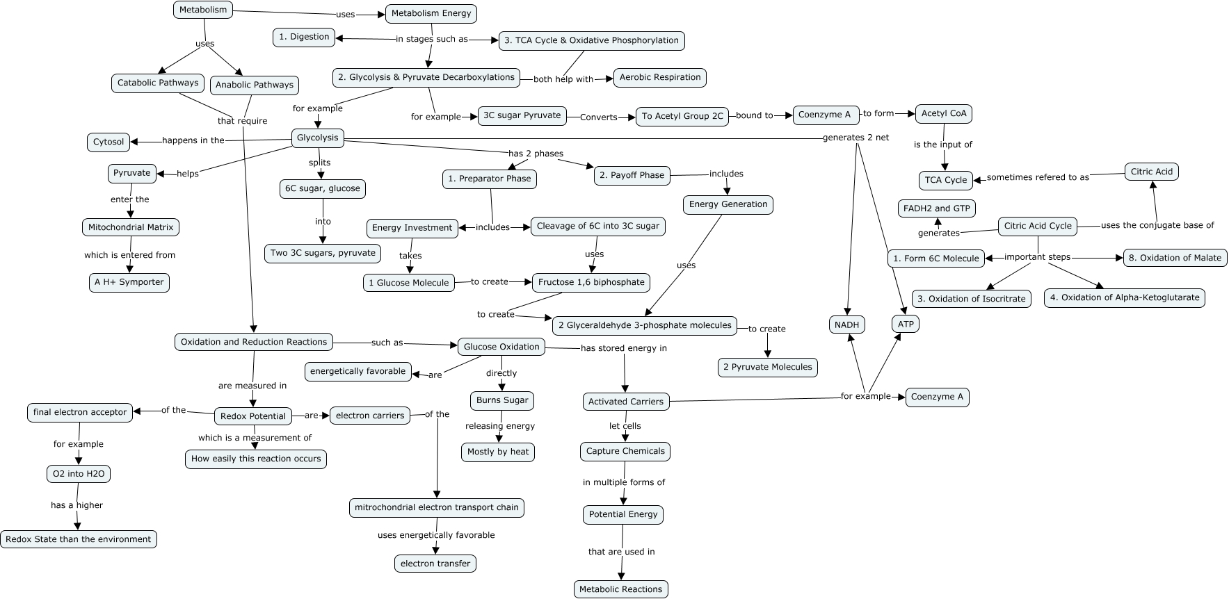 _Metabolism Concept Map